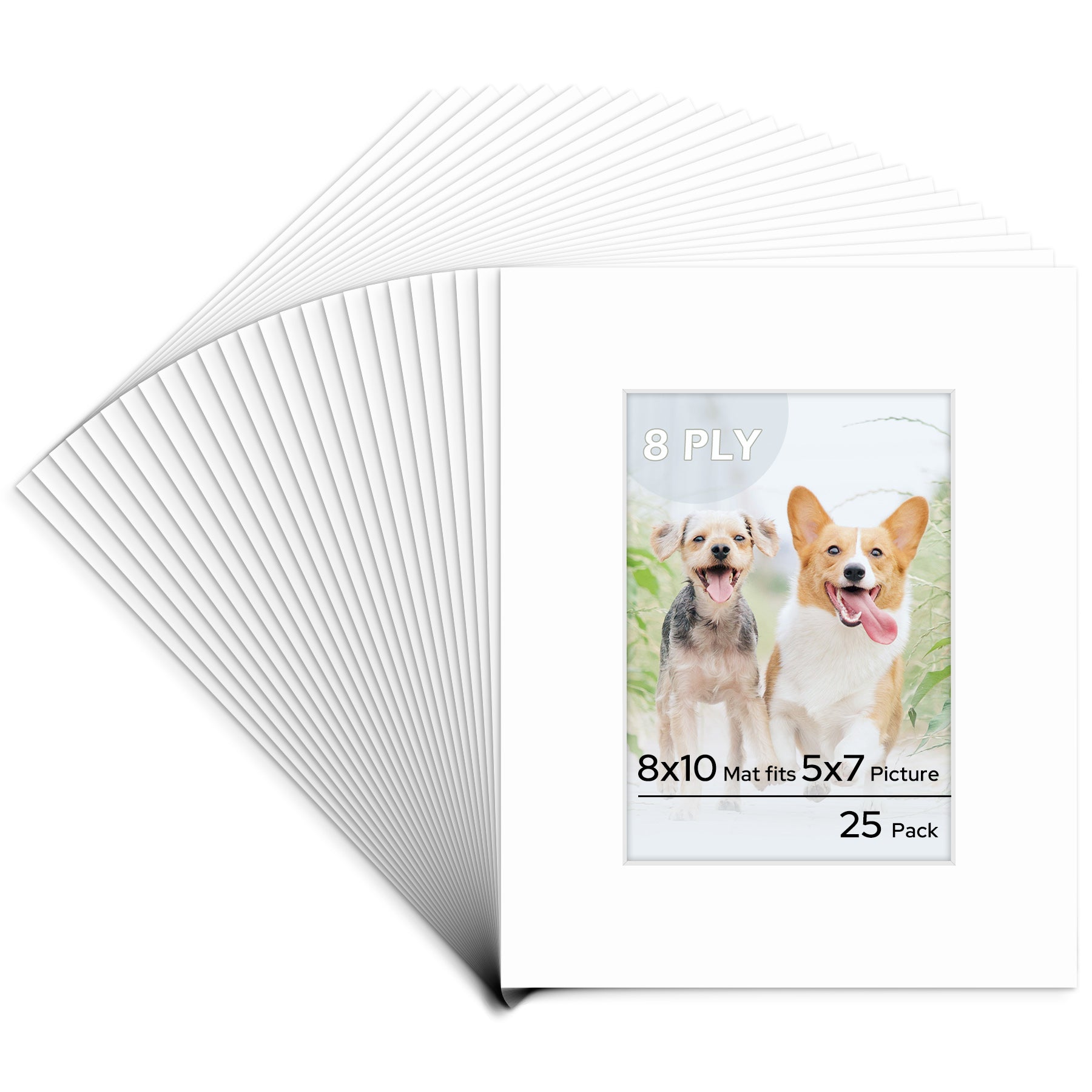 Golden State Art, 8x10 Pre-cut Mat with Whitecore fits 5x7 Picture