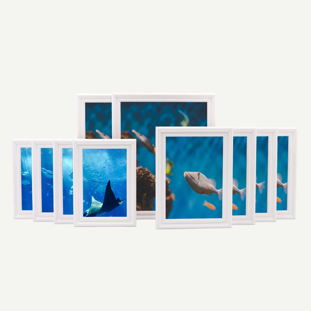 4x6 Aluminum Frames – Golden State Art