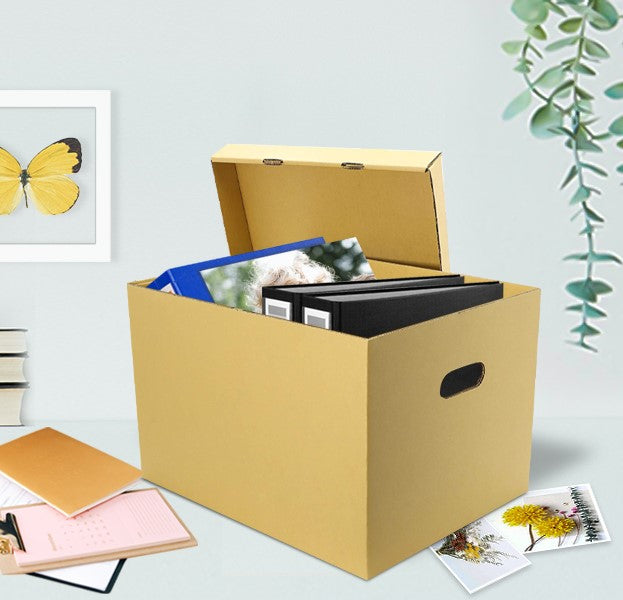Golden State Art Archival Record Storage Cartons: Acid-Free & Durable